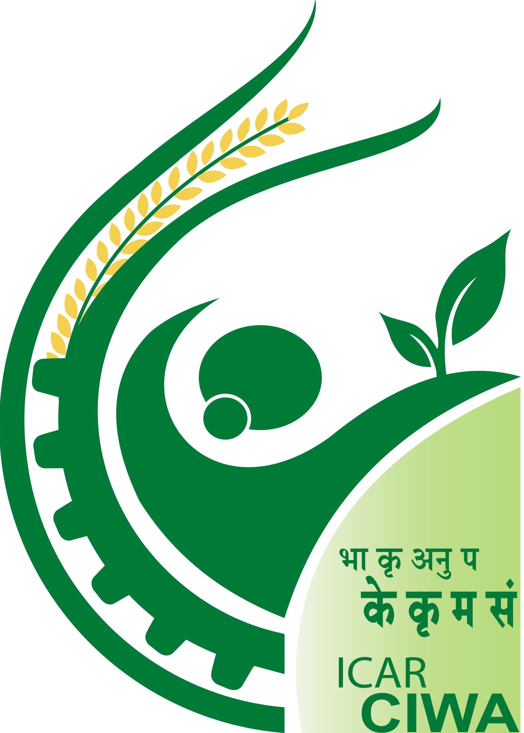ICAR CIWA